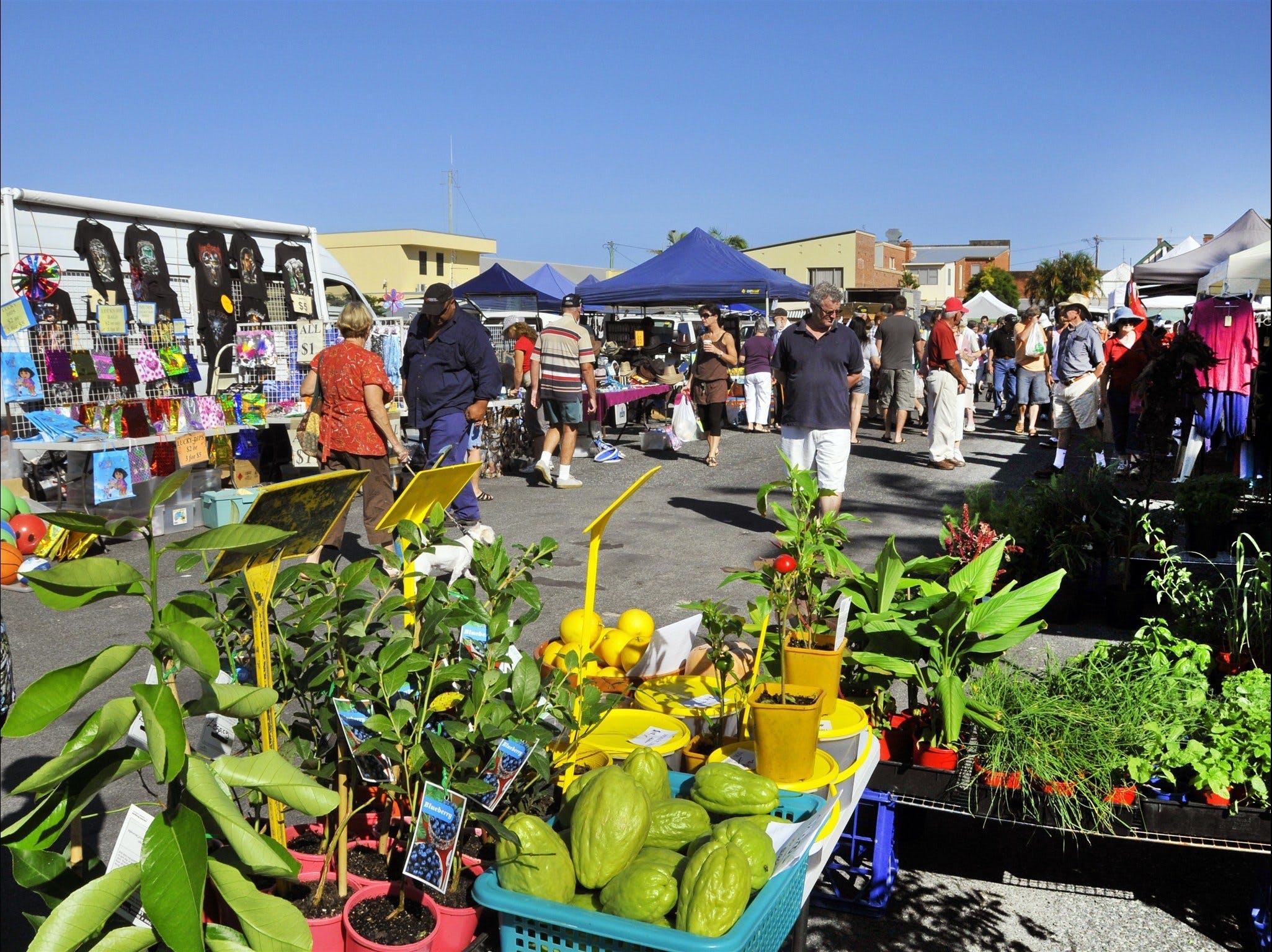 Maclean Community Markets - Clarence Valley