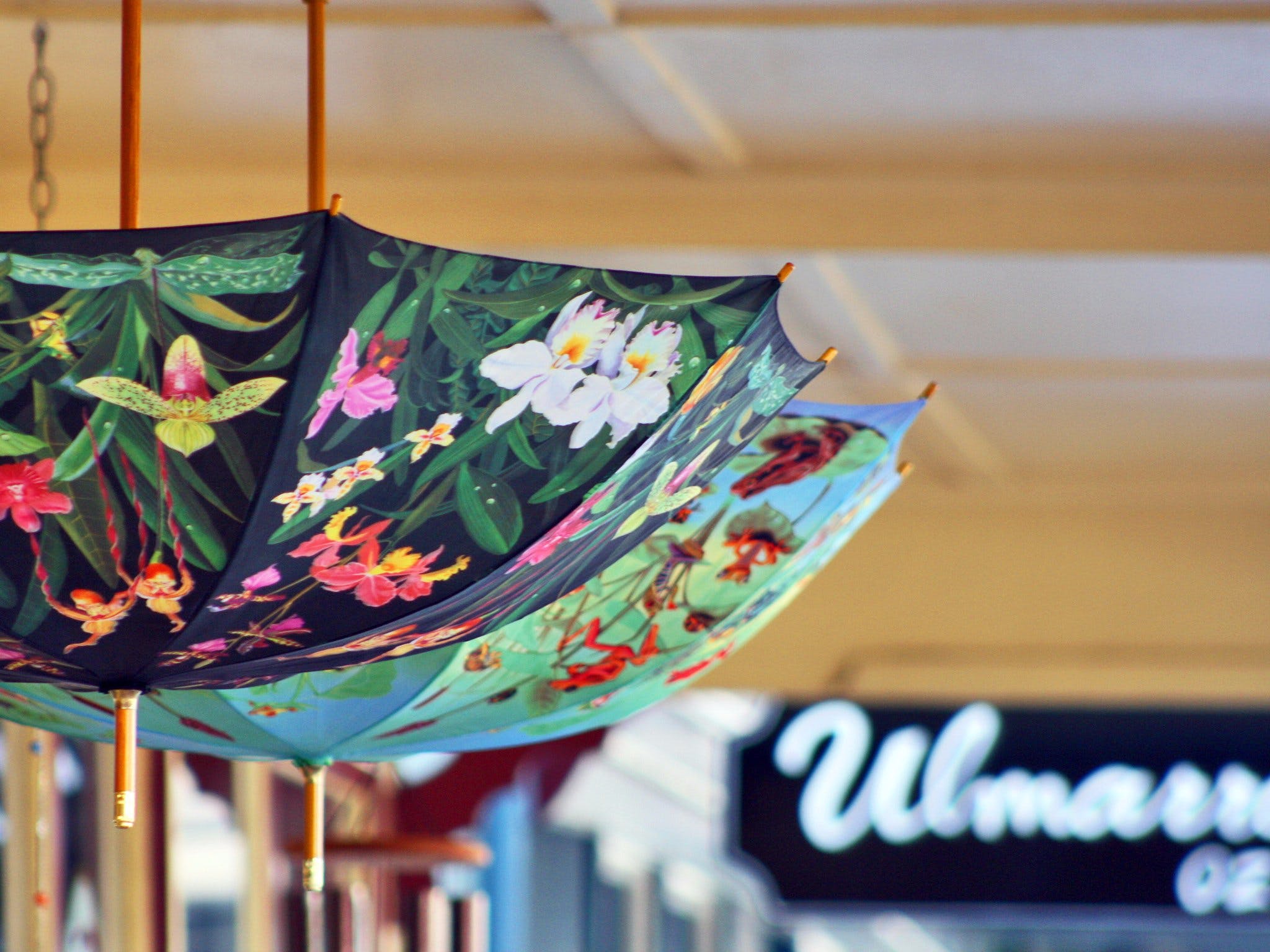 Ulmarra - Clarence Valley