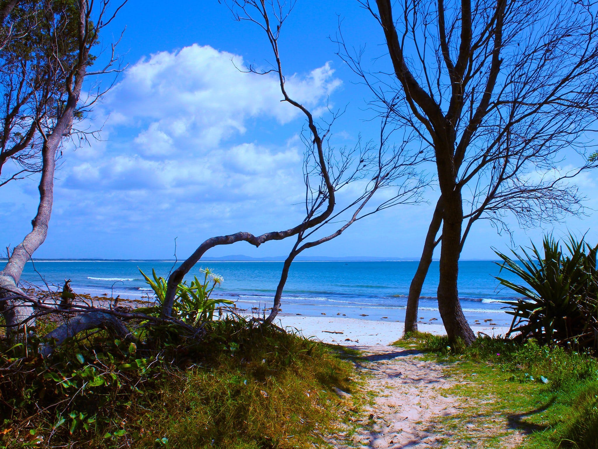 Shark Bay - Clarence Valley