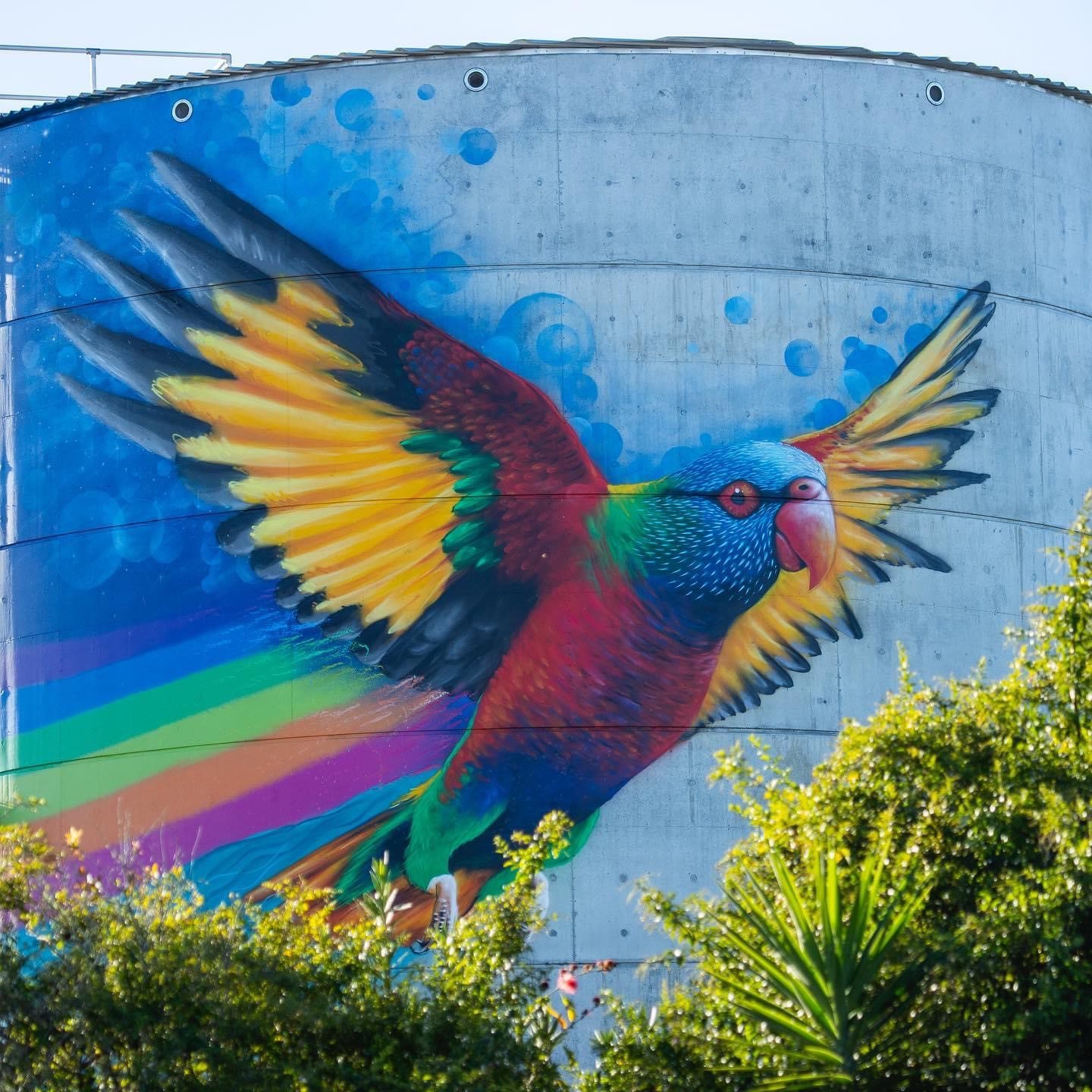 Explore Street Art in the Clarence Valley - Clarence Valley